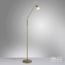 Paul Neuhaus Stehlampe "PINO", 1, Ø 23cm H: 111cm, 1 Stk., gold, Wohnzimmer, Leuchten