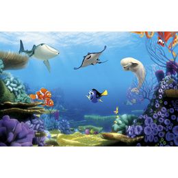 Komar Vliestapete "Digitaldruck Vlies - Finding Dory - Gr&ouml;&szlig;e 400 x 260 cm", B/L: 400mm x 260mm, Rollen:, bunt, Wohnzimmer, Tapeten, Wohnzimmer,