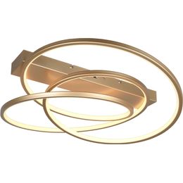 Trio LEUCHTEN LED Deckenleuchte "DARVIN, LED Deckenlampe 34W 4500 Lumen, dimmbar Lichtfarbe einstellbar", 1, H: 16cm, 1 Stk., gold, Wohnzimmer,