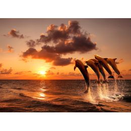 papermoon Fototapete "Sunset Jumping Dolphins", B/L: 3m x 2,23m, Bahnen: 6 Stk., bunt, Tapeten