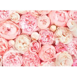 Livingwalls LIVING WALLS Fototapete "Designwalls Roses", B/L: 3,5mm x 2,55mm, rosa, Tapeten, Vlies, Wand, Schr&auml;ge, Decke