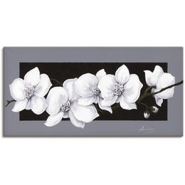 Wandbild Artland, B:100cm H:50cm, schwarz, Wohnzimmer, Bilder, "Wei&szlig;e Orchideen auf grau", als Alubild, Outdoorbild, Leinwandbild, Poster,