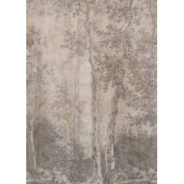 Fototapete "Birch Trees", B/L: 2mm x 2,7mm, Rollen:, grau, LOOKS by Wolfgang Joop, Schlafzimmer, Tapeten, 200x270cm
