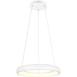 Trio LEUCHTEN LED Pendelleuchte "CARDONA, LED Ring Hängeleuchte, 4400 Lumen 38W, Lichtfarbe einstellbar", 1, Ø 62cm H: 150cm, 1 Stk., weiß, Leuchten,