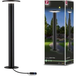 LED Pollerleuchte Paulmann, H:60cm &Oslash;:16cm, grau, Leuchten, "Plug & Shine", LED-Modul, IP44 3000K 24V Anthrazit