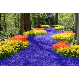 papermoon Fototapete "Spring Flowers", B/L: 3m x 2,23m, Bahnen: 6 Stk., bunt, Tapeten
