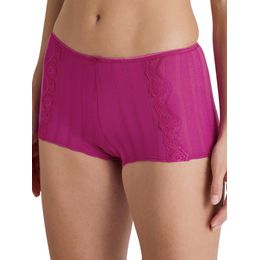 Calida Damen Panty "Etude Toujours", Gr. S, lila, Jersey, Obermaterial: 95% Baumwolle, 5% Elasthan, unifarben, Unterhosen, mit Dresdner Spitze an der