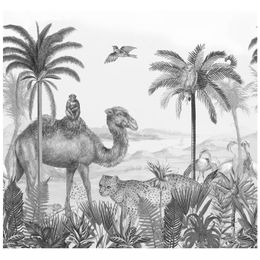 Fototapete "Safari", B/L: 3mm x 2,8mm, grau, Art for the home, Schlafzimmer, Tapeten, 280x300 cm