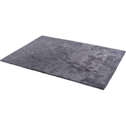 Sch&ouml;ner Wohnen Kollektion Fellteppich, B:80cm H:26mm L:150cm, grau, SCH&Ouml;NER WOHNEN-KOLLEKTION, Kunstfaser, Teppiche, "Tender", besonders weich durch Microfaser, Kunstfell,