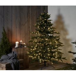 Tchibo - LED-Tannenbaum - schwarz