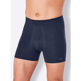 Panty COMTE, Herren, Gr. 8, 2 Stk., blau (marine), 95% Baumwolle, 5% Elasthan, Unterhosen Panty