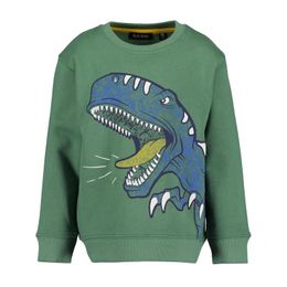 Blue Seven Sweatshirt &raquo;Jungen Sweatshirt&laquo;, 1 Stk. 735 - DK GR&Uuml;N 116 116 Sweatshirt mit gro&szlig;em Dinosaurier-Print
