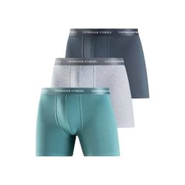 Copenhagen Studios Langer Boxer &raquo;Boxershorts f&uuml;r Herren&laquo;, 3 Stk. mit l&auml;ngerem Bein und Logobund salbei / dunkelsalbei / grau-meliert L - 3 Stk. 3...