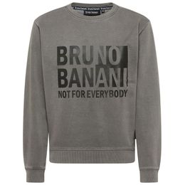 Bruno Banani Sweatshirt 'Birdwhistle' female Grey size M