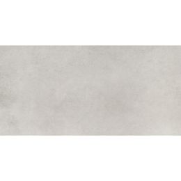 Bodenfliese 'Fog' Feinsteinzeug grau 29,8 x 59,8 x 0,8 cm
