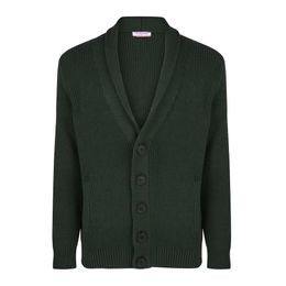 Felix Hardy Knit Cardigan male Green size L