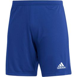 adidas Performance Workout Pants 'Entrada 22' male Blue size XXXL