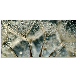 Glasbild Artland, B:100cm H:50cm, grau, Glas, K&uuml;che, Bilder, "Pusteblume Regenschauer", in verschiedenen Gr&ouml;&szlig;en