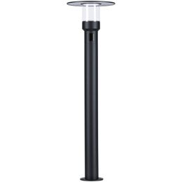 LED Gartenleuchte Paulmann, B:21,2cm H:78cm T:24,7cm Ø:21,2cm, grau, Leuchten, "Sienna 230V Pollerleuchte", seewasserresistent, mit PIR-Sensor