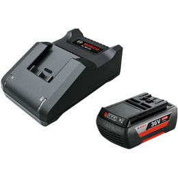 Bosch Home and Garden Akku-Set, B:200mm H:92mm, bunt, BOSCH HOME & GARDEN, Akkumulatoren, "Starter-Set 36V"