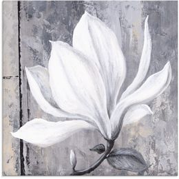 Glasbild Artland, B:50cm H:50cm, grau, Glas, K&uuml;che, Bilder, "Klassische Magnolie", in verschiedenen Gr&ouml;&szlig;en