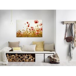 A.S. Cr&eacute;ation Leinwandbild A.S. CR&Eacute;ATION, B:90cm H:60cm, bunt, Holz, Stahl, Wohnzimmer, Bilder, "Flower Meadow", Mohnblume Keilrahmen Blumenwiese Leinwand-Bild