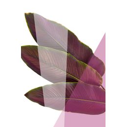 Acrylglasbild queence, B:80cm H:120cm T:2,4cm, gr&uuml;n, Acrylglas, Bilder, "Bl&auml;tter", Fine Art-Print in Galeriequalit&auml;t