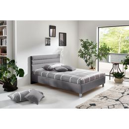 Polsterbett, B:150cm L:210cm, grau, Westfalia Schlafkomfort, Bezug: Microvelours (100% Polyester);Bonnell-Federkern-Matratzenbezug: 100%