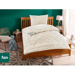 f.a.n. Naturhaarbettdecke FAN, B:135cm L:200cm, beige, Bezug: 100% Baumwolle. F&uuml;llung: 97% Kamelhaar, 3% sonstige Fasern, Bettdecken, "Gobi, Bettdecken f&uuml;r