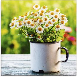 Glasbild Artland, B:40cm H:40cm, gr&uuml;n, Glas, K&uuml;che, Bilder, "Fr&uuml;hlingsgarten mit Echter Kamille", in verschiedenen Gr&ouml;&szlig;en