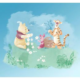 Komar Vliestapete "Digitaldruck Vlies - Winnie the Pooh Picnic - Gr&ouml;&szlig;e 300 x 280 cm", B/L: 300mm x 280mm, Rollen:, bunt, Tapeten, Kinderzimmer