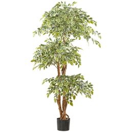 Kunstpflanze Creativ green, H:165cm, grün, Kunststoff, Kunstpflanzen, "Ficus benjamina", mit Naturstamm