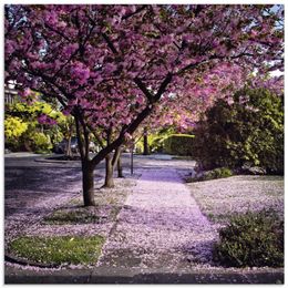 Glasbild Artland, B:50cm H:50cm, pink, Glas, Wohnzimmer, Bilder, "Fallende Bl&uuml;tenbl&auml;tter", in verschiedenen Gr&ouml;&szlig;en