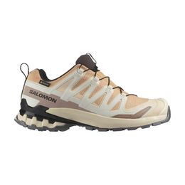Salomon XA Pro 3D V9 GTX Schuhe Damen beige 42.0