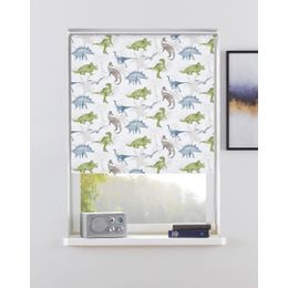 Rollo OTTO HOME, B:40cm H:150cm, grau, Polyester, Kinderzimmer, Rollos, "DINO", Fixma&szlig;, Klemmfix, DINO, Kinderrollo -NEUHEIT