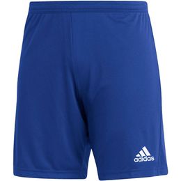 adidas Performance Sportshorts 'Entrada 22' Herren Gr&ouml;&szlig;e XXXL navy / wei&szlig;
