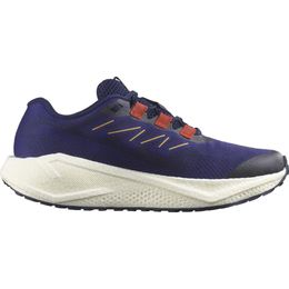 Salomon Aero Blaze 3 Gravel Schuhe Herren blau 46.6