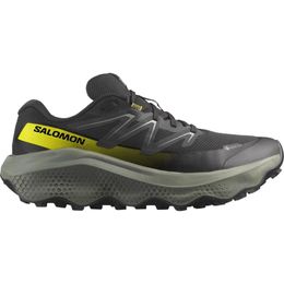 Salomon Ultra Flow 2 GTX Schuhe Herren schwarz 46.0