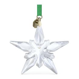 Swarovski Pendant male White size One Size
