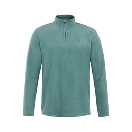 Protest Sportsweatshirt 'PERFECTO' Herren Gr&ouml;&szlig;e XS gr&uuml;n