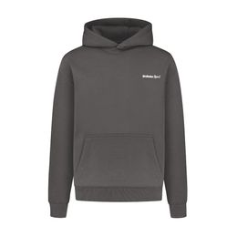Smilodox Zip-Up Hoodie 'Fortes' male Grey size 3XL