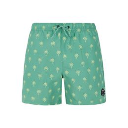 Protest Board Shorts 'PRTALVIS' male Green size L
