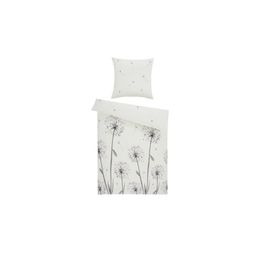CS Schmal como Satin Bettw&auml;sche Pusteblume grau Ma&szlig;e (cm): B: 135 &raquo; M&ouml;bel Kraft