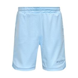 DROPSIZE Shorts »Herren V2 Mesh Shorts« baby blue XL - US-Größen US-Größen XL Leichte Mesh-Shorts für Sport und Freizeit