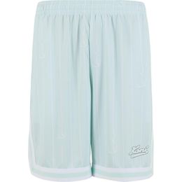 Karl Kani Shorts »Small Varsity Logo Pinstripe Mesh Shorts« turquoise S - US-Größen US-Größen S Leichte Mesh-Shorts fuer Sport und Freizeit