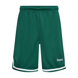 DROPSIZE Shorts »Herren Logo Mesh Shorts« green M - US-Größen US-Größen M Leichte Mesh-Shorts für Sport und Freizeit