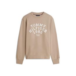 Tommy Hilfiger Sweatshirt male Beige size XS