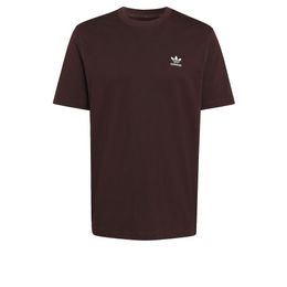 adidas originals T-Shirt 'Trefoil Essentials' Herren Gr&ouml;&szlig;e M schoko / wei&szlig;