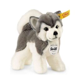Steiff Bernie Husky 17 grau/weiss st in Weiß ab 0 Monate | Gr.: onesize