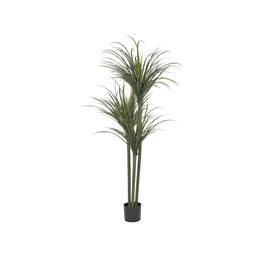 Beliani Kunstpflanze DRACAENA ANITA in Grün/Schwarz - (W) 88 x (H) 198 x (L) 88 cm | Gr.: onesize